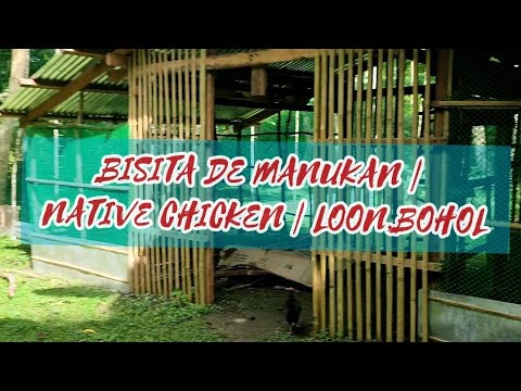 BISITA DE MANUKAN | NATIVE CHICKEN | LOON,BOHOL - YouTube