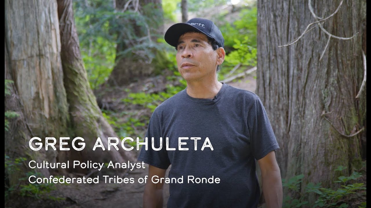 Culturally Modified Tree Training - YouTube