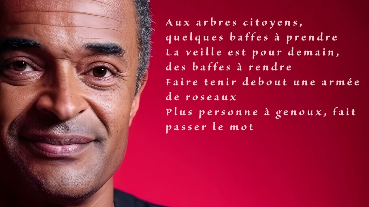 Yannick Noah Aux Arbres Citoyens Paroles YouTube Yannick Noah Aux Arbres Citoyens Paroles YouTube
