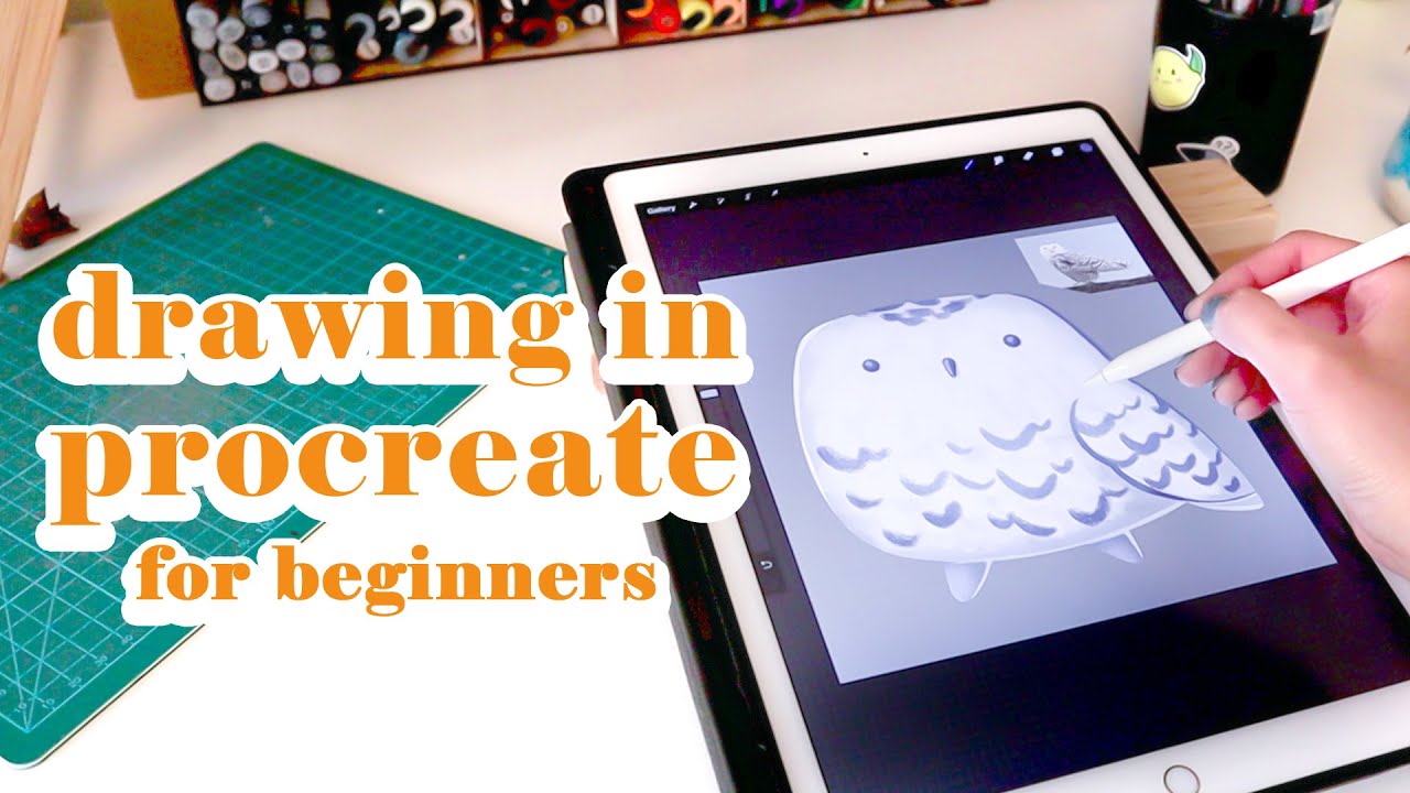 how to draw an owl my drawing process in Procreate for beginners with ...