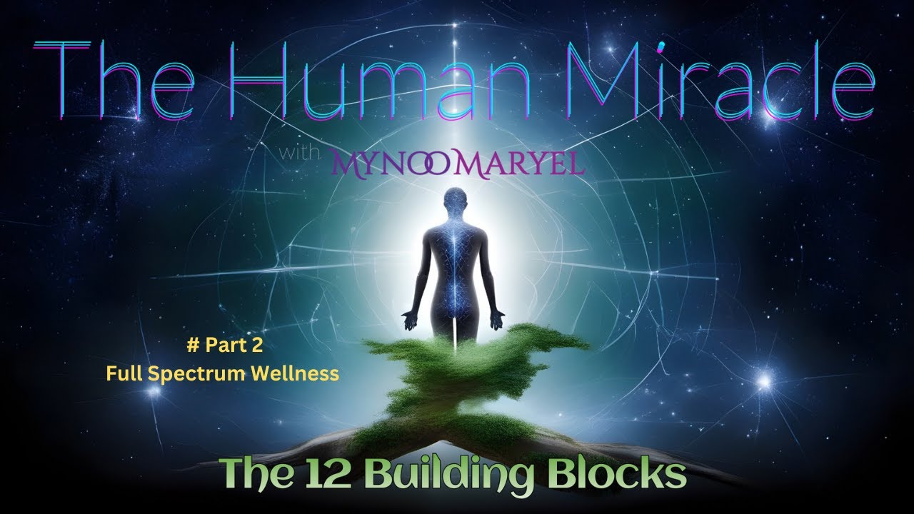 #2 The 12 Building Blocks of our human body : Full Spectrum Wellness ...
