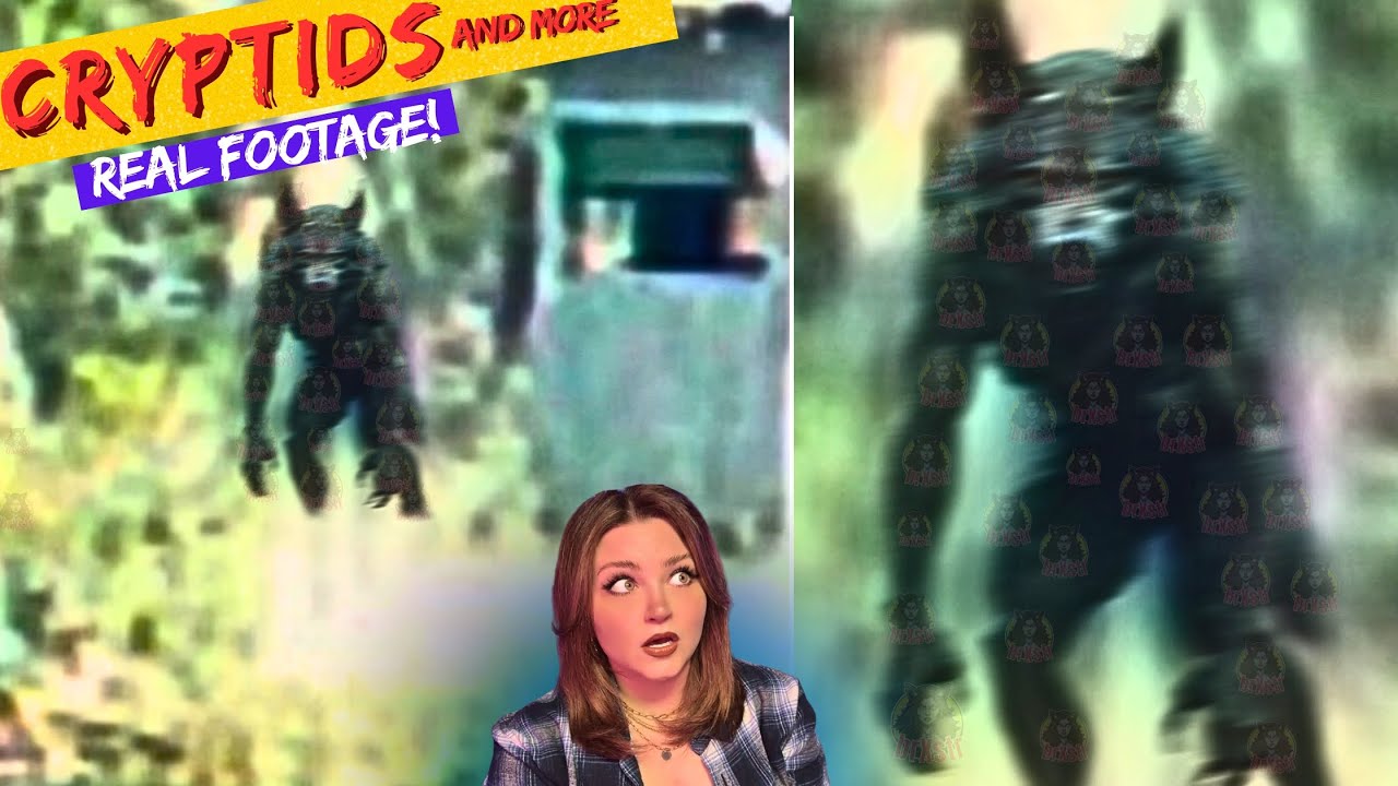 Nightmarishly Scary & Mysterious CRYPTIDS Caught on Camera *CREEPY ...