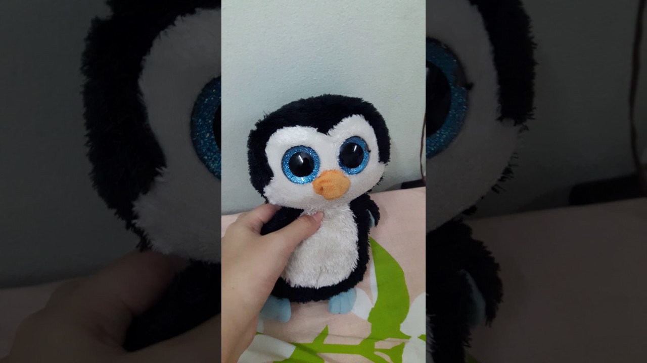 Talking penguin - YouTube