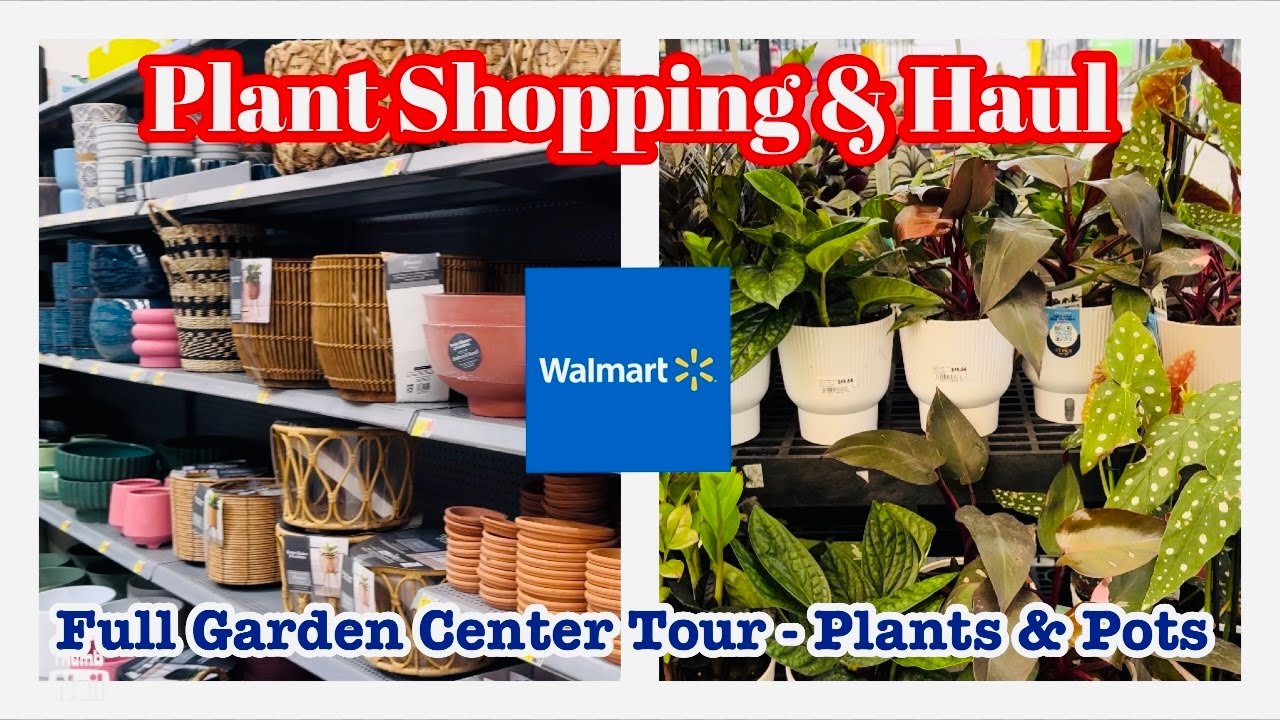 Plant Shopping & Haul @Walmart || Full Garden Center Tour || Plants ...