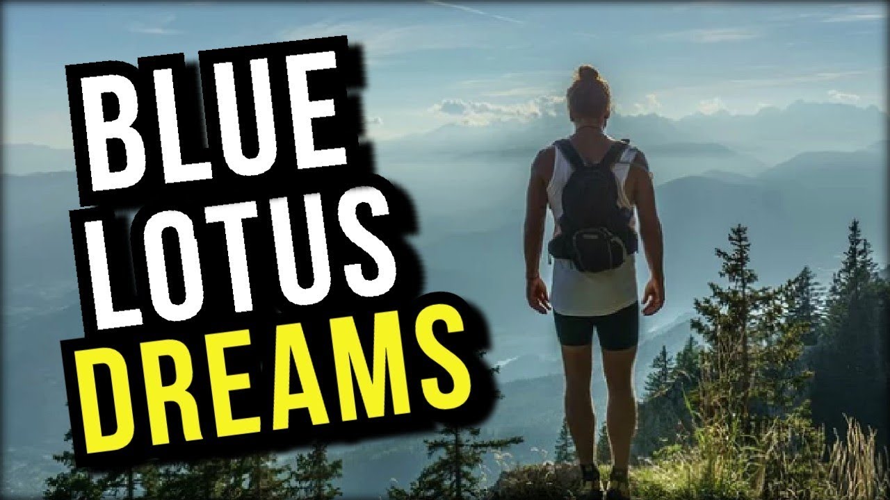 Blue Lotus Lucid Dreams Are Some Next Level S*** (Beginner Beware ...