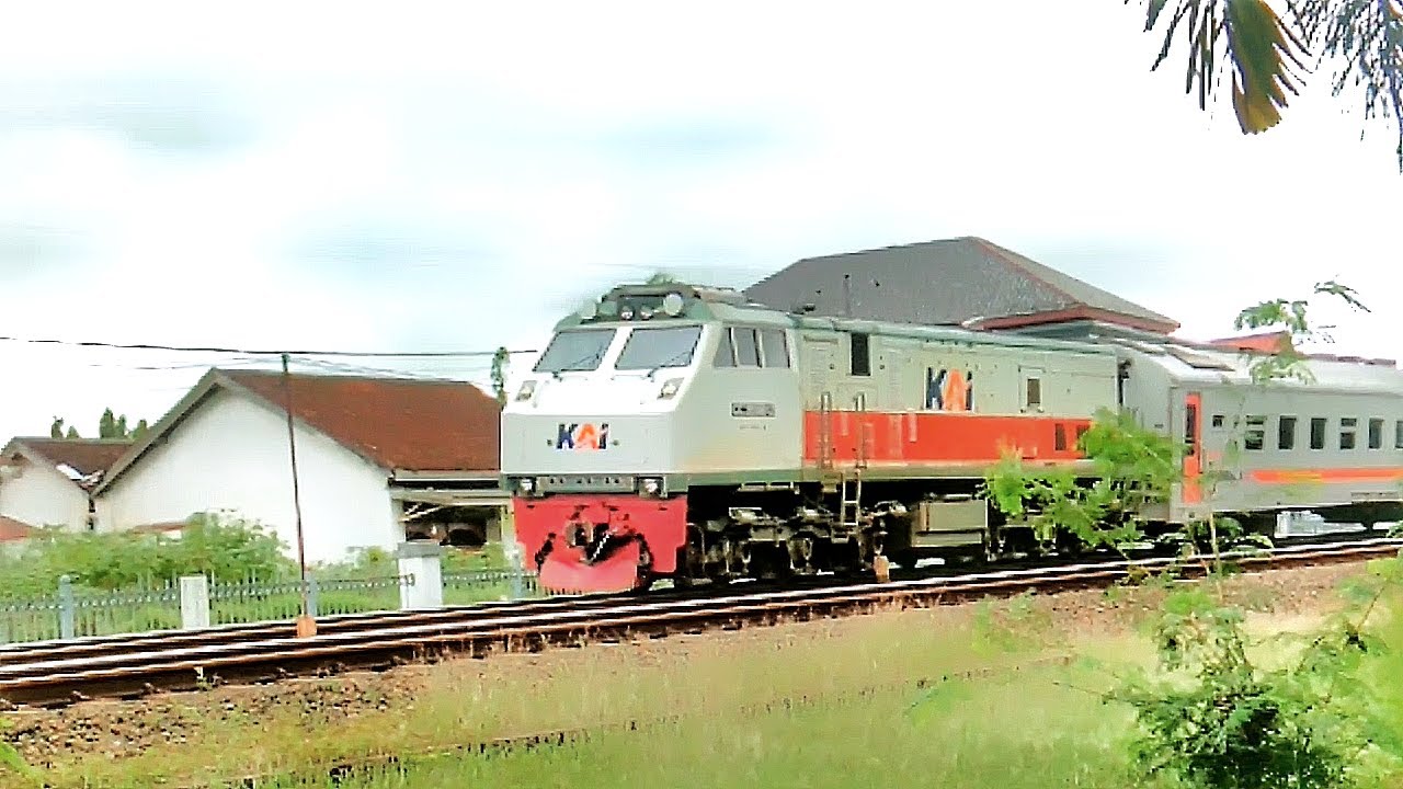 Lots of TRAIN departing - cc203 KAI (TRAIN RECORDING VIDEO) - YouTube
