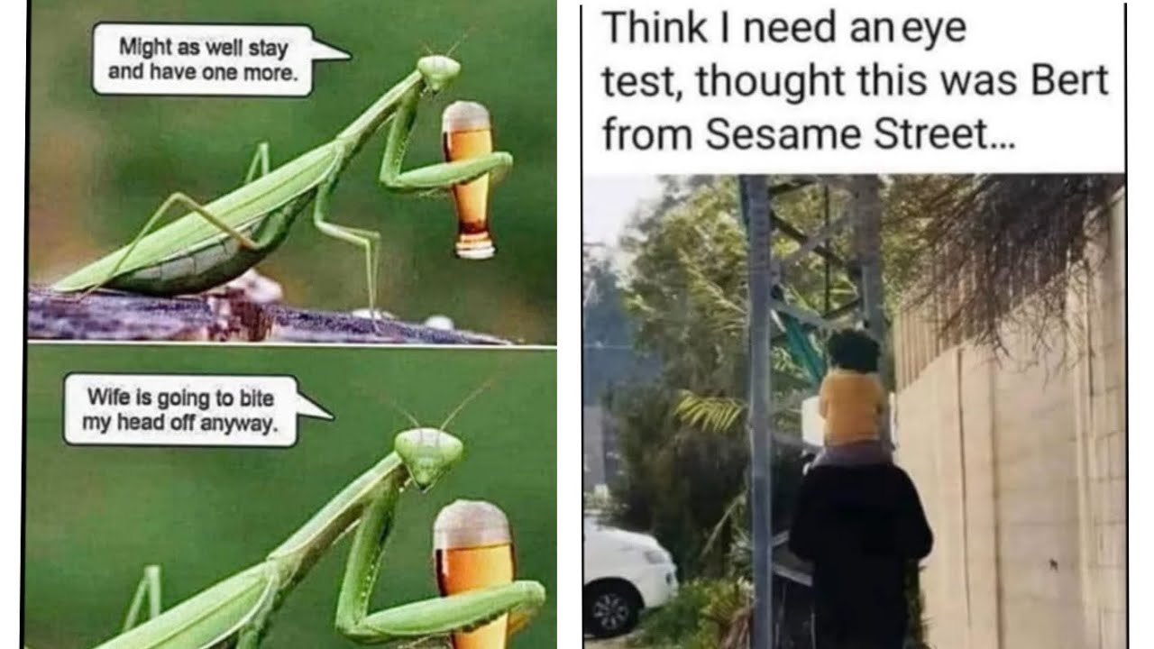 Meme 128 funny memes - YouTube