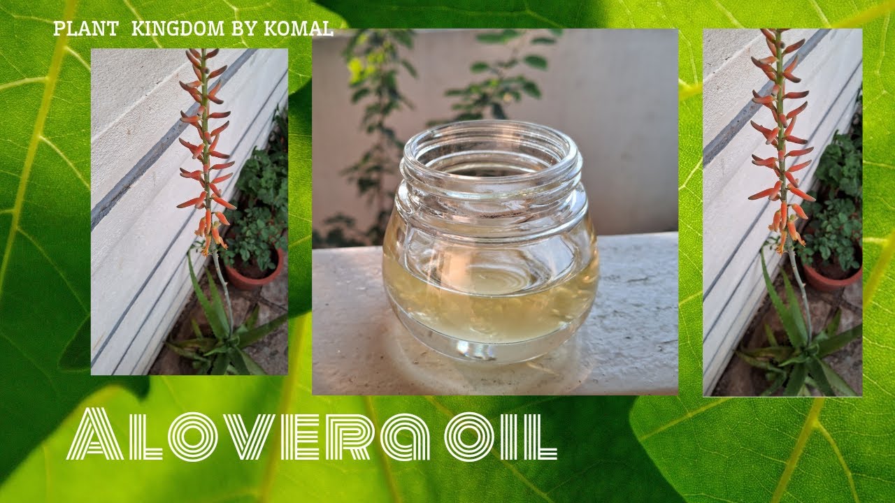 कोरफड तेल I Alovera Oil Homemade| For Promote Hair Growth - YouTube
