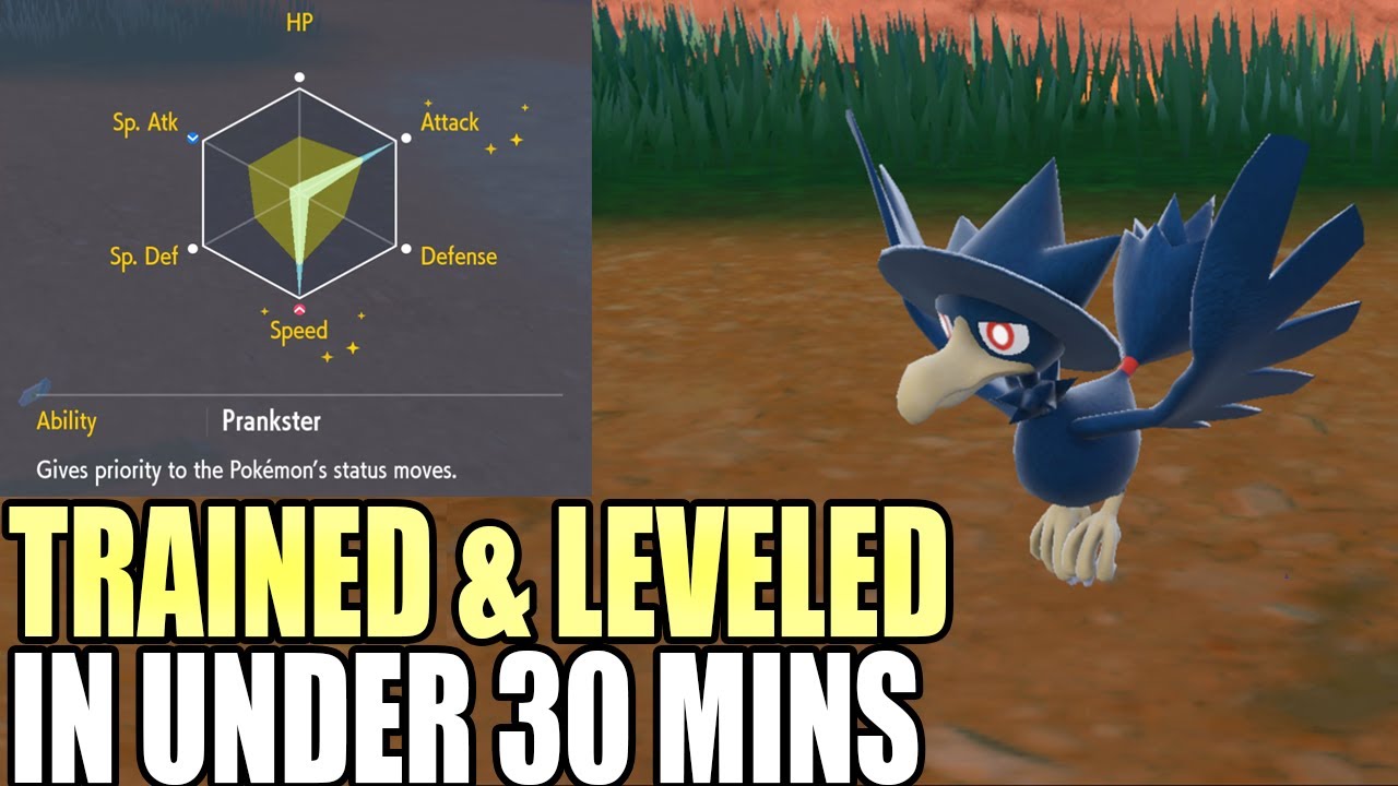 Simple Guide to EV Train and Level Pokemon in UNDER 30 Minutes ...