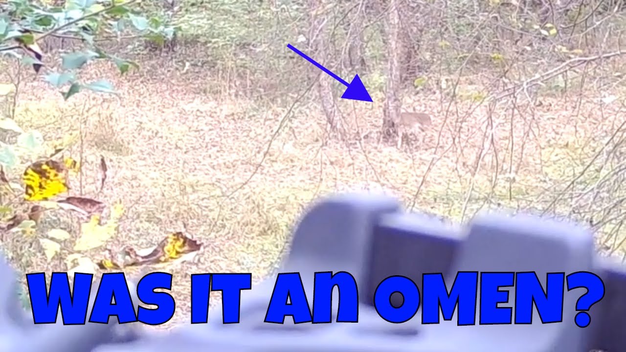Was It An OMEN? 2nd Deer on the One Year Anniversary of My First - YouTube