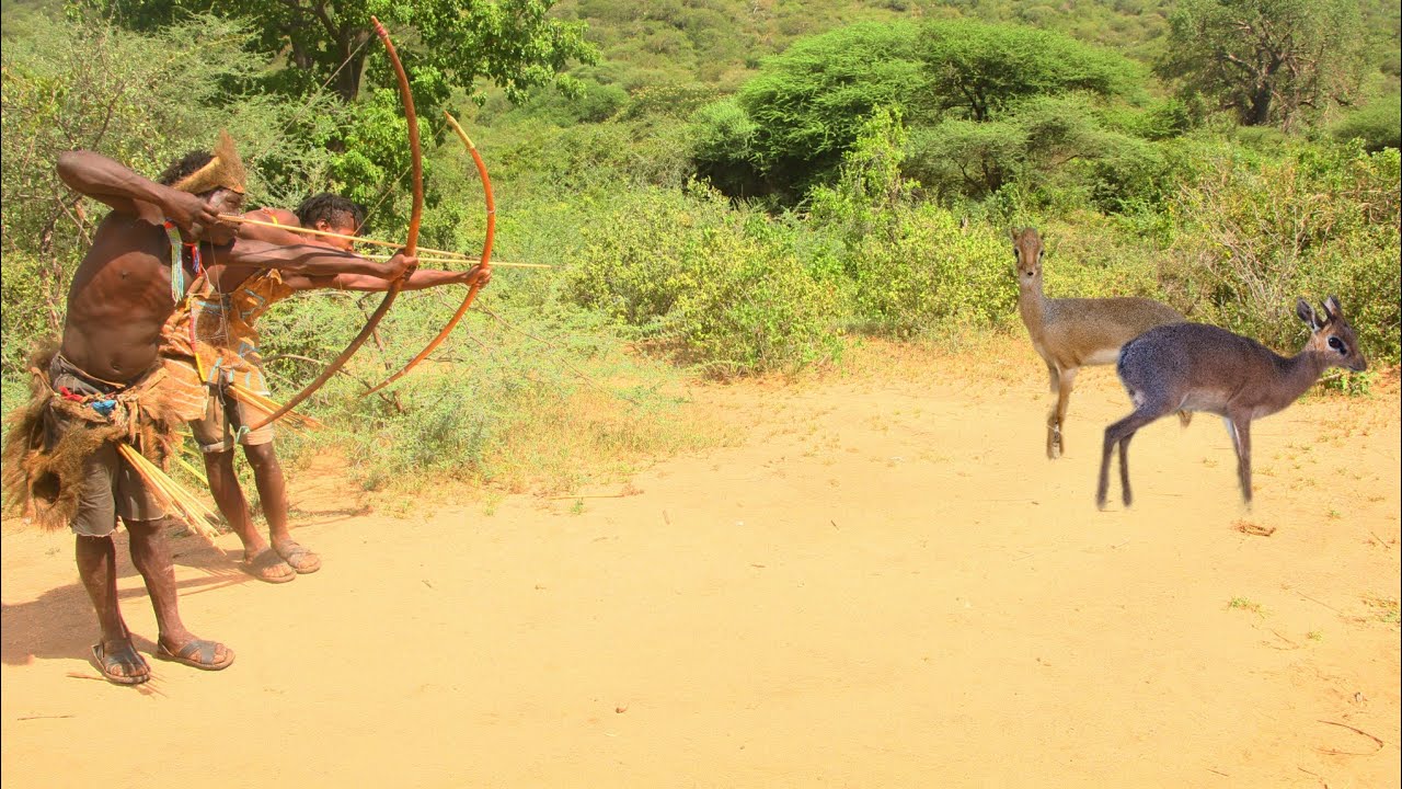 Why Hadzabe Tribe Likes To Eat Dik dik Meat in Summer? | See What's ...