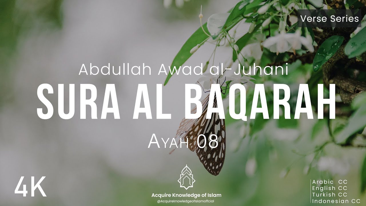 Sura Al-Baqarah I Ayah 08 I The Cow I Verses Series I Abdullah Awad al ...