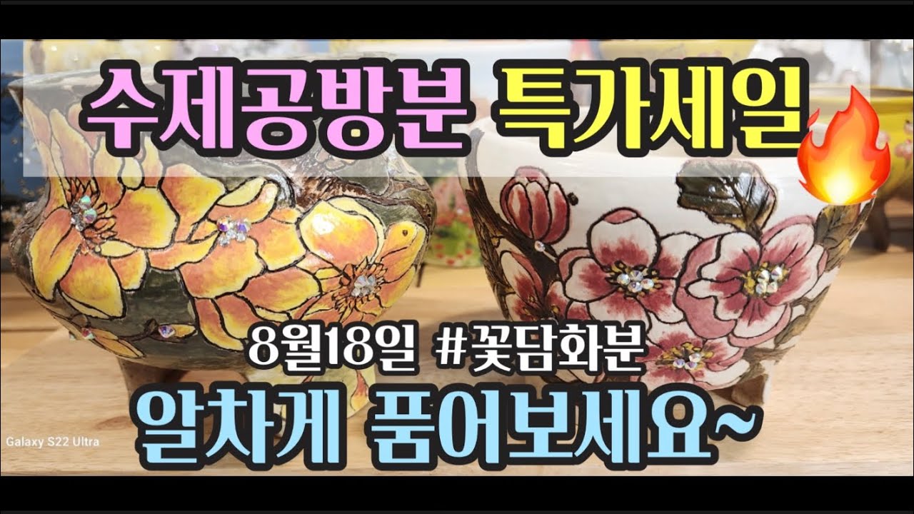 8월18일 수제공방분 특가세일 꽃담다육스토리예쁜화분화분싸게파는곳다육식물多肉植物succulents다육이꽃담화분다육화분꽃담다육스토리화분 Youtube