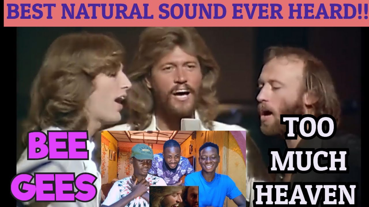 First Time Hearing "BEE GEES" - TOO MUCH HEAVEN | REACTION!! - YouTube