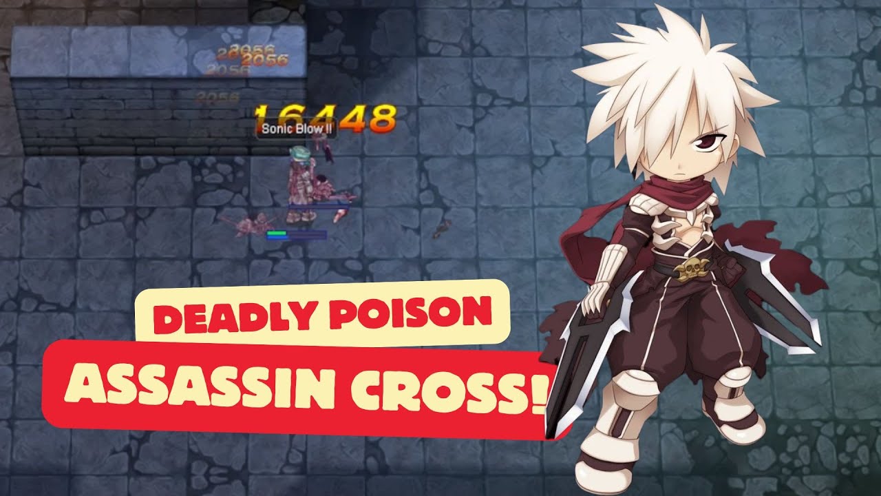 Assassin Cross | Basic Budget Build | Ragnarok Online Pre-renewal - YouTube