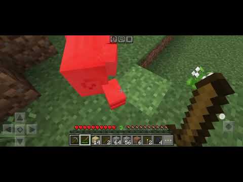 all time Minecraft video - YouTube