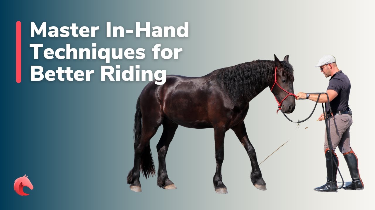 In-Hand Horse Training for Balance: Patrick King’s Step-by-Step Lesson ...