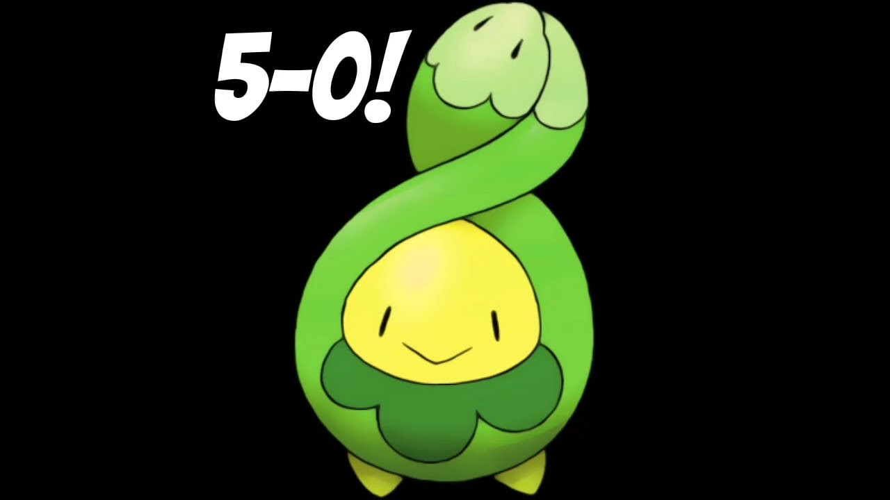 Budew helps the team win 5-0 in a row in the new galar little cup ...