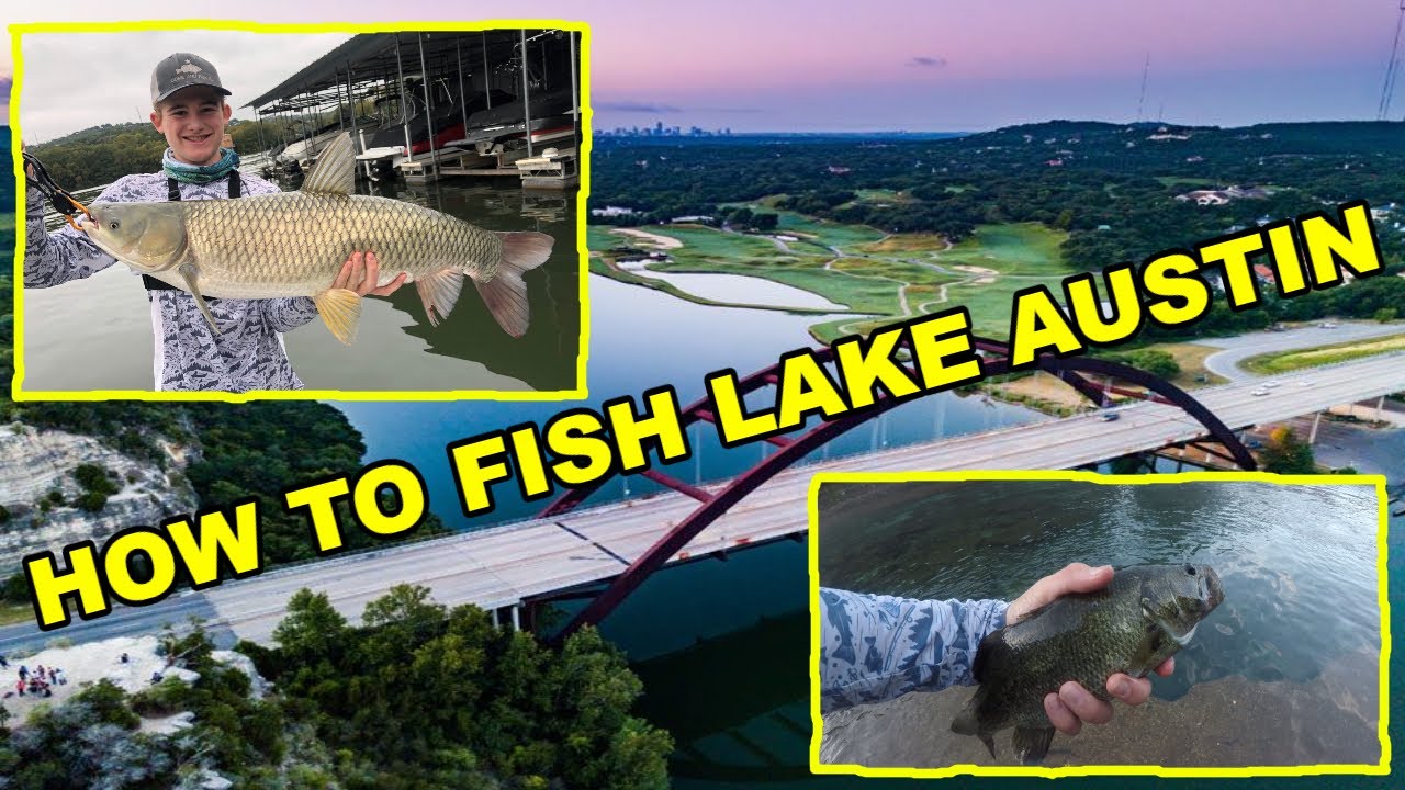 From creek bass to HUGE carp! (How to fish Lake Austin) - YouTube