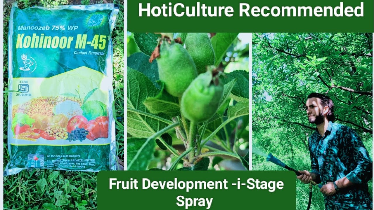 Fruit🍎Development -i-Stage Spray🍎 Mancozeb 75WP(Kohinoor M-45 (C.F)🍎 ...