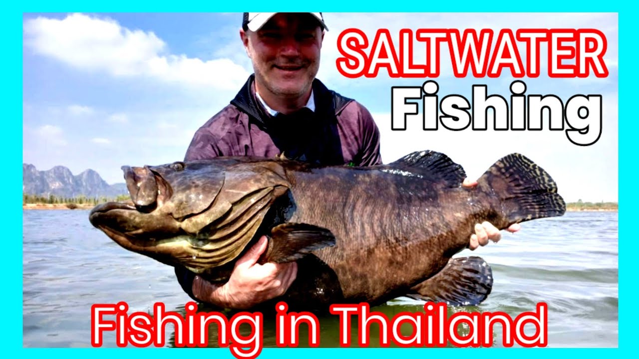 Monster fish at Jurassic Saltwater - YouTube