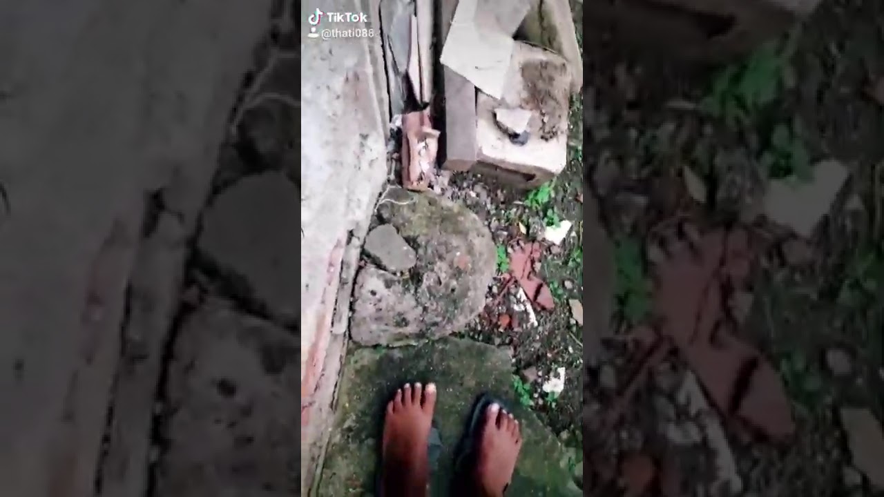 Arthur fazendo tik tok - YouTube