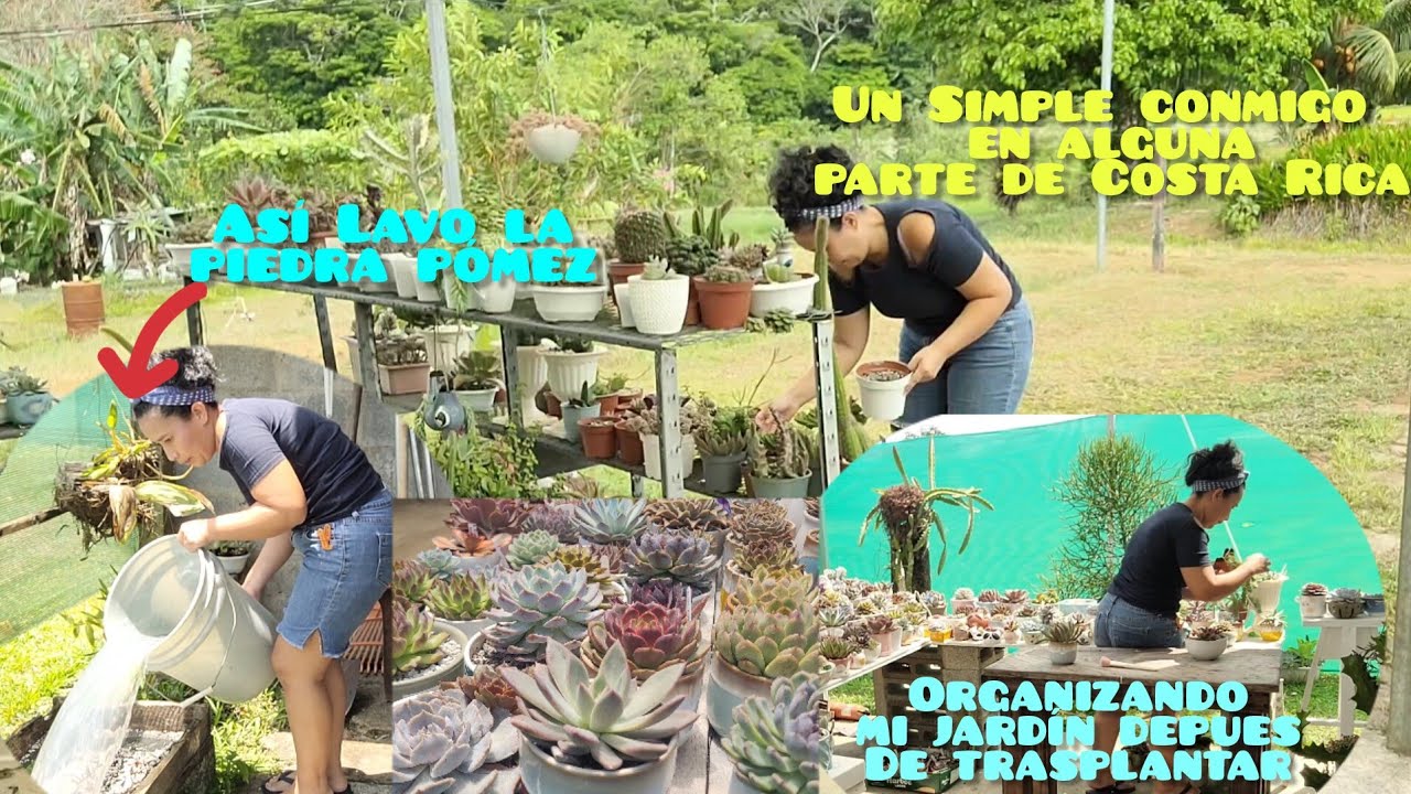 Una día conmigo viviendo simplemente en mi Barrio / vlogs / Vida de campo - YouTube