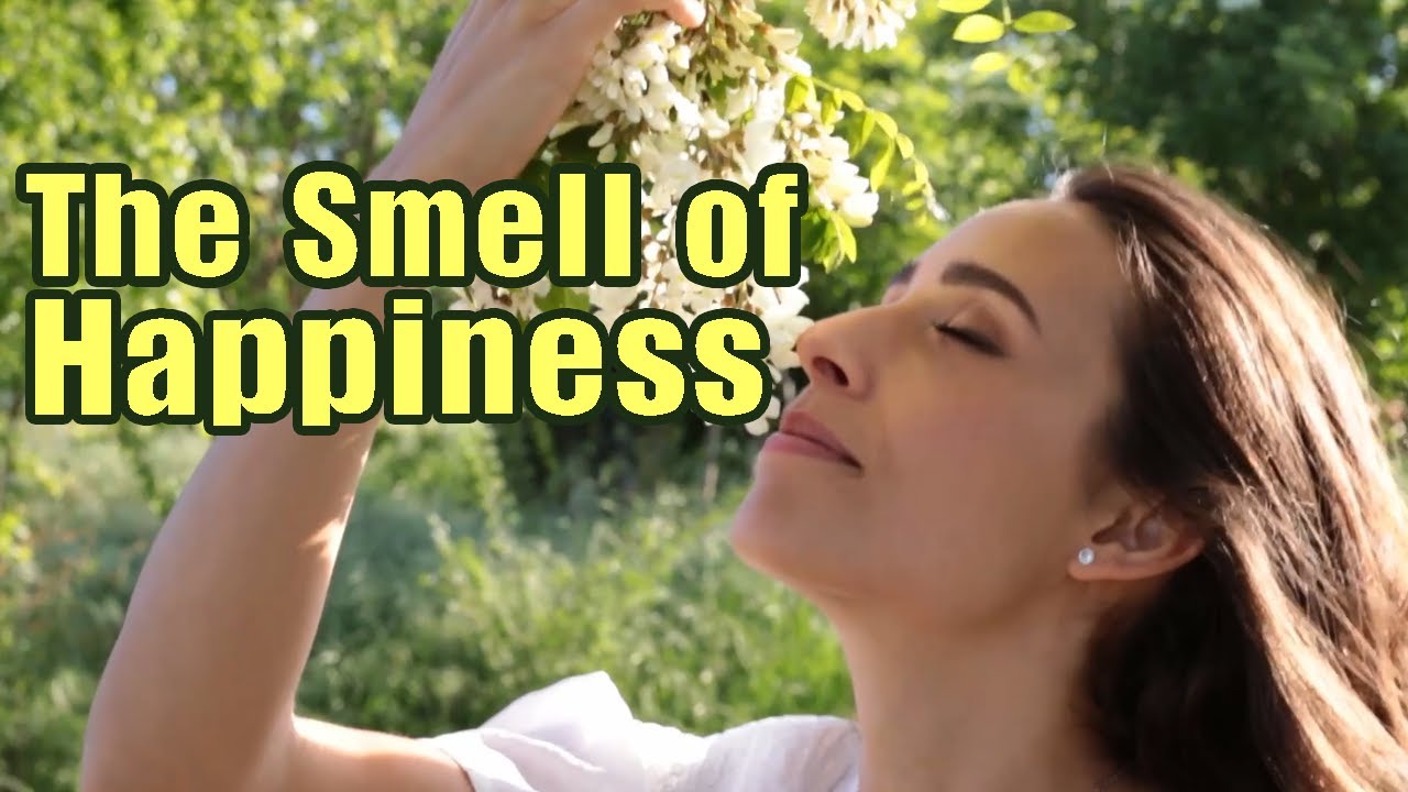 The Smell of Happiness | How to be happy | GraceMee.com - YouTube
