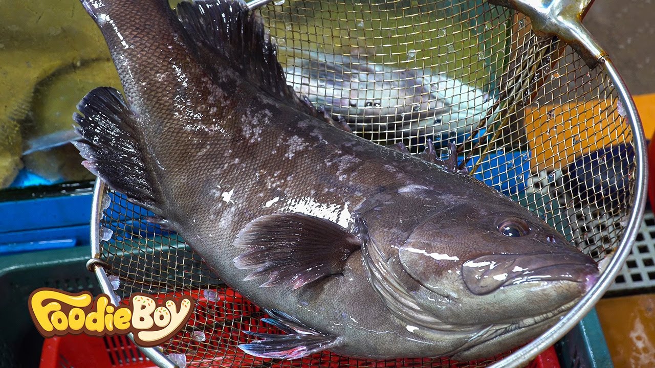 능성어 회 / Sevenband Grouper Sashimi - Korean Street Food / 서울 노량진 수산시장 ...