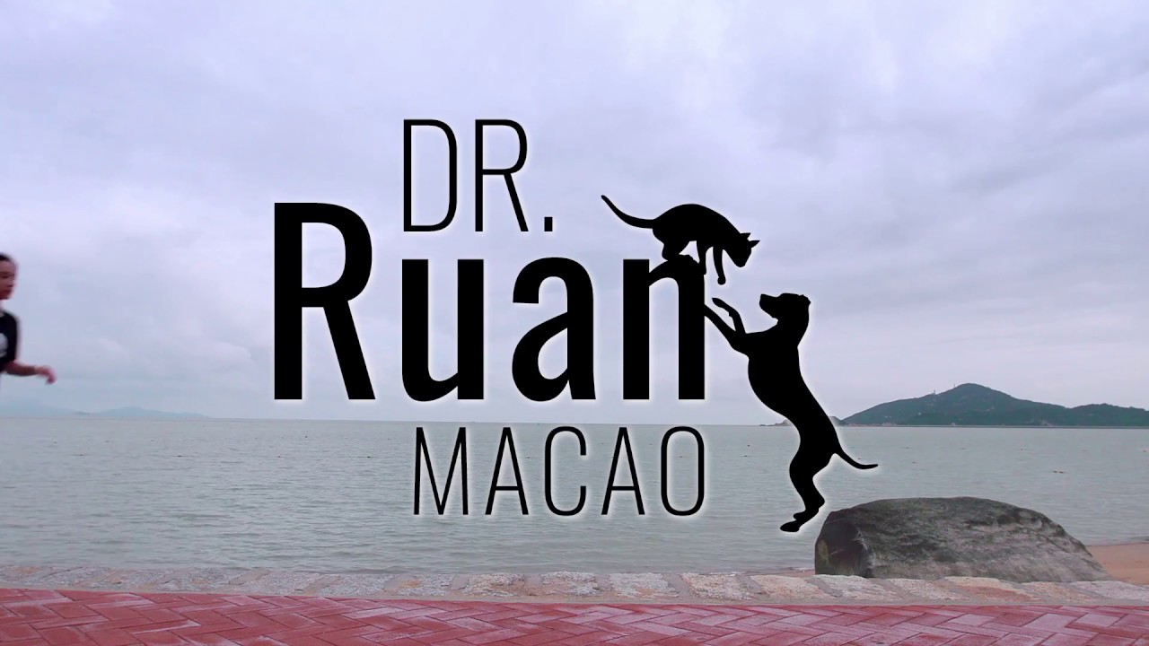 Dr Ruan - Episode 1 Risky Husky - YouTube