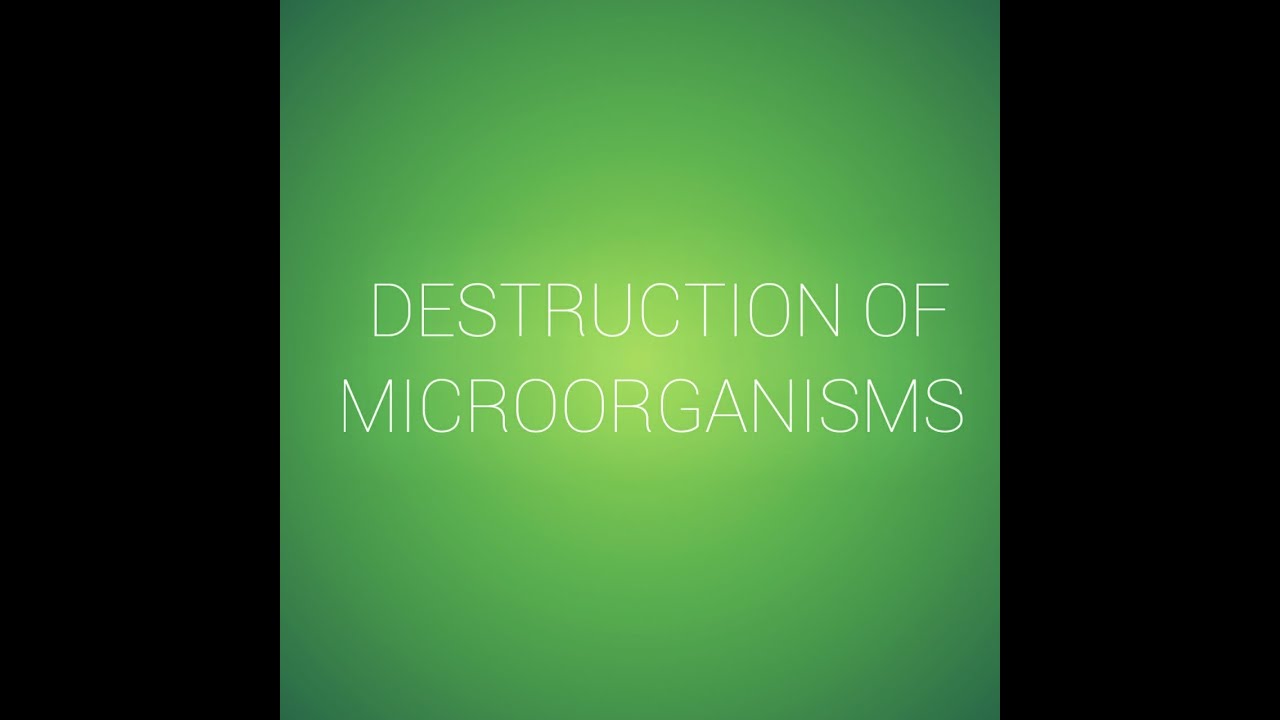 DESTRUCTION OF MICROORGANISMS - YouTube