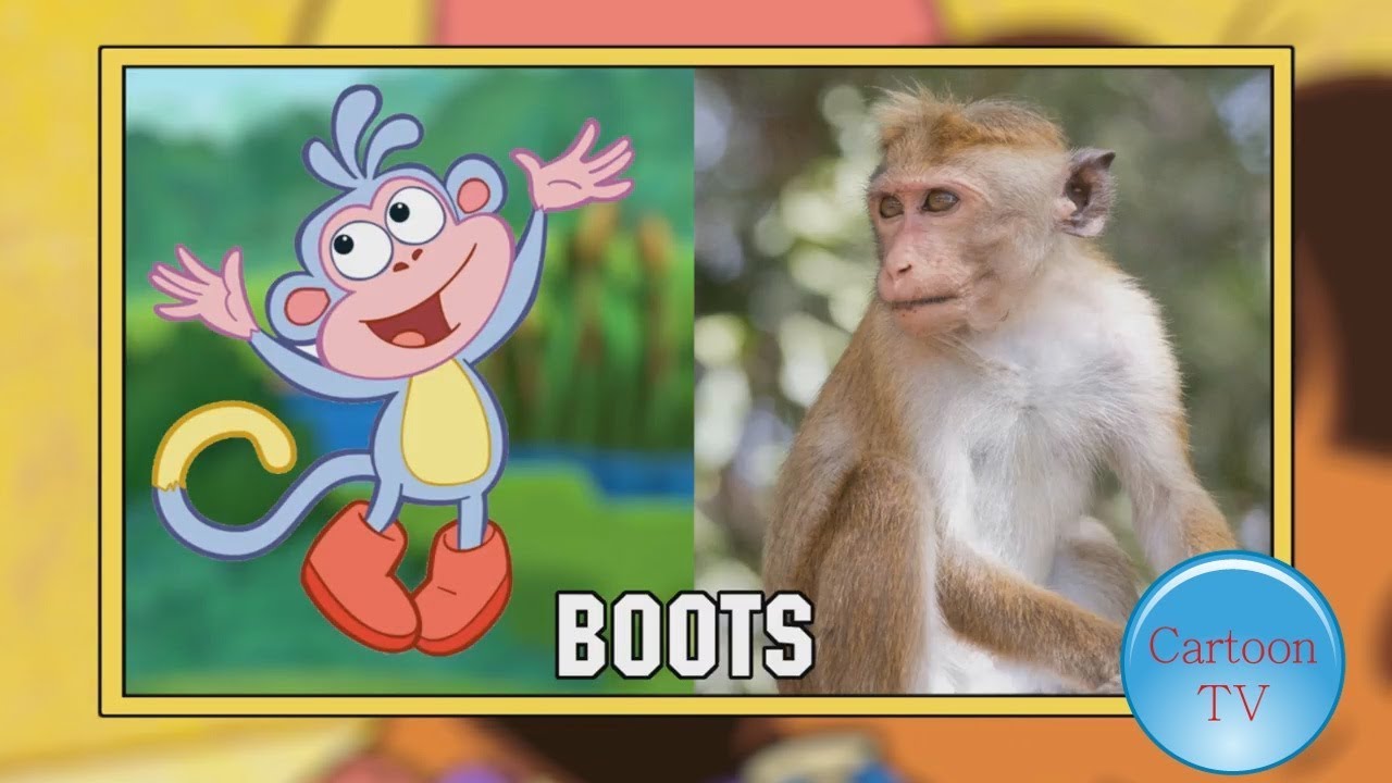 Dora the Explorer Characters In Real Life - YouTube