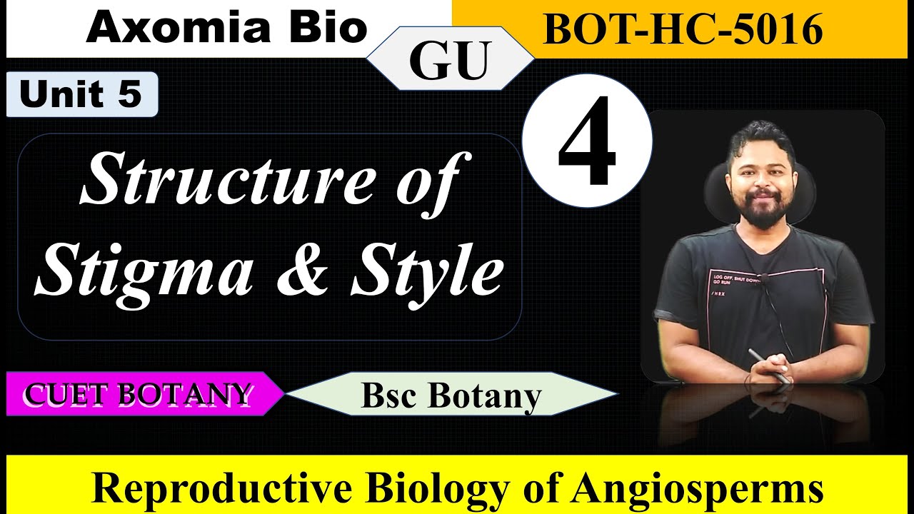 Structure of Stigma & Style| Pollination & Fertilization|Reproductive ...