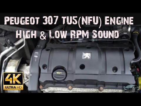 Peugeot 307|Citroen 1.6 TU5(NFU) Engine High & Low RPM#peugeot307 #peugeot #psa - YouTube