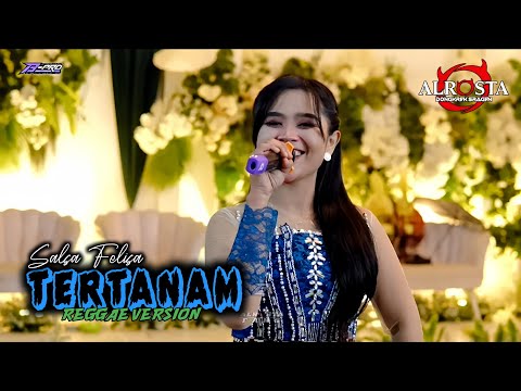 TERTANAM REGGAE - SALSA FELISA ALR⭕STA DONGKREK // B-PRO MULTIVISION - ALFA AUDIO // ALROSTA FANS