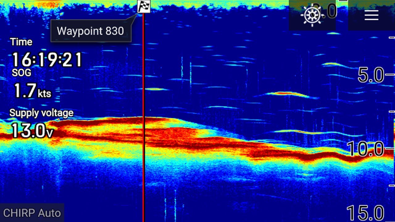 2D Sonar 101 - YouTube