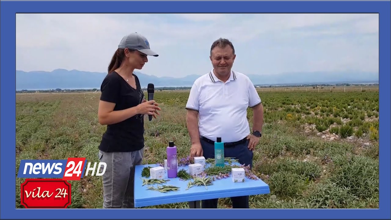 Sherebela shqiptare me e kerkuara ne bote.Njihuni me vetite kurative ...