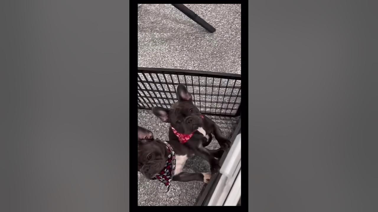 Double trouble 🤣 - YouTube Double trouble 🤣 - YouTube