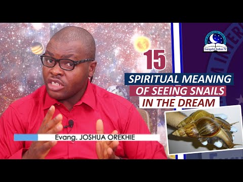 15 SPIRITUAL MEANING OF SNAILS IN DREAM  - Dream About Snails