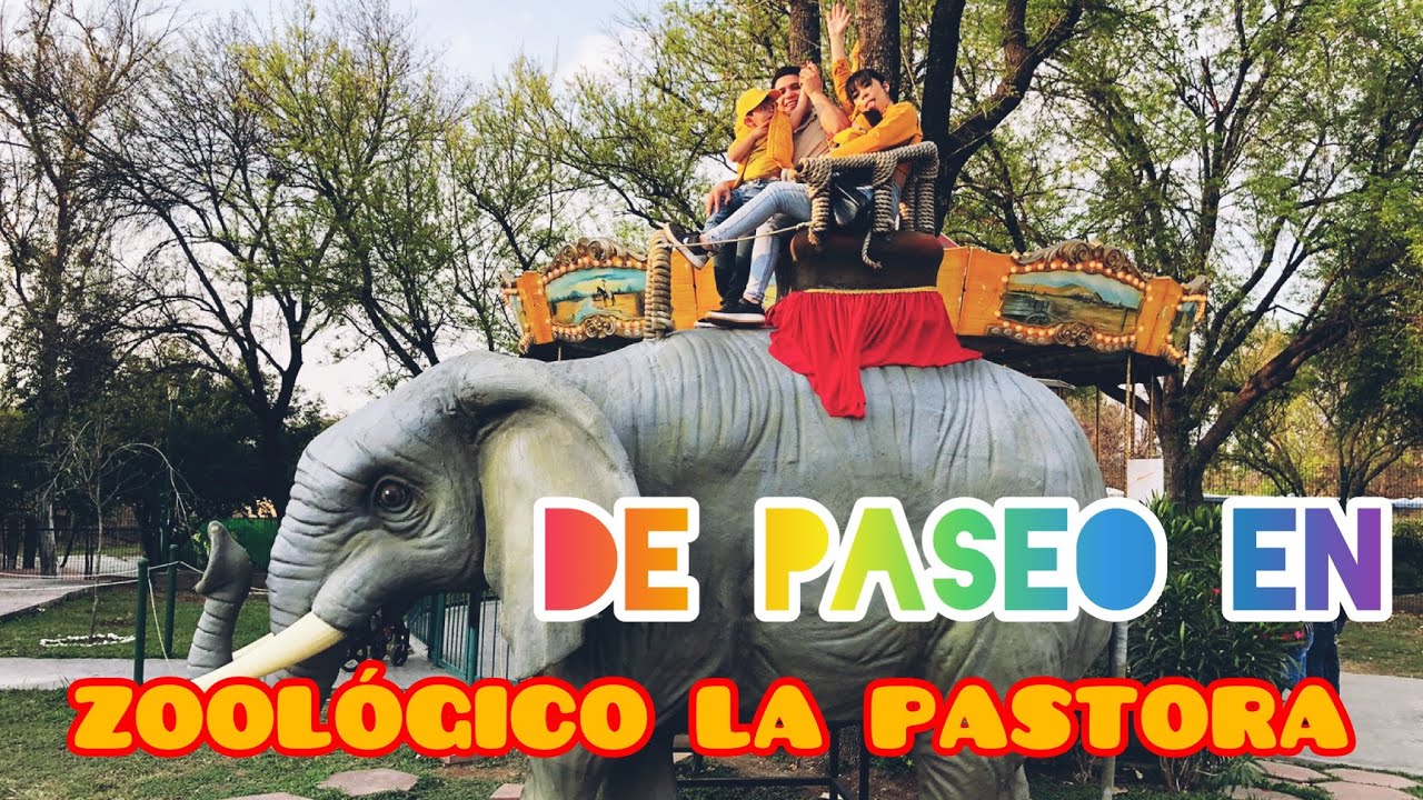 DE PASEO EN ZOOLÓGICO LA PASTORA MTY N.L 100% RECOMENDABLE PARA VISITAR ...