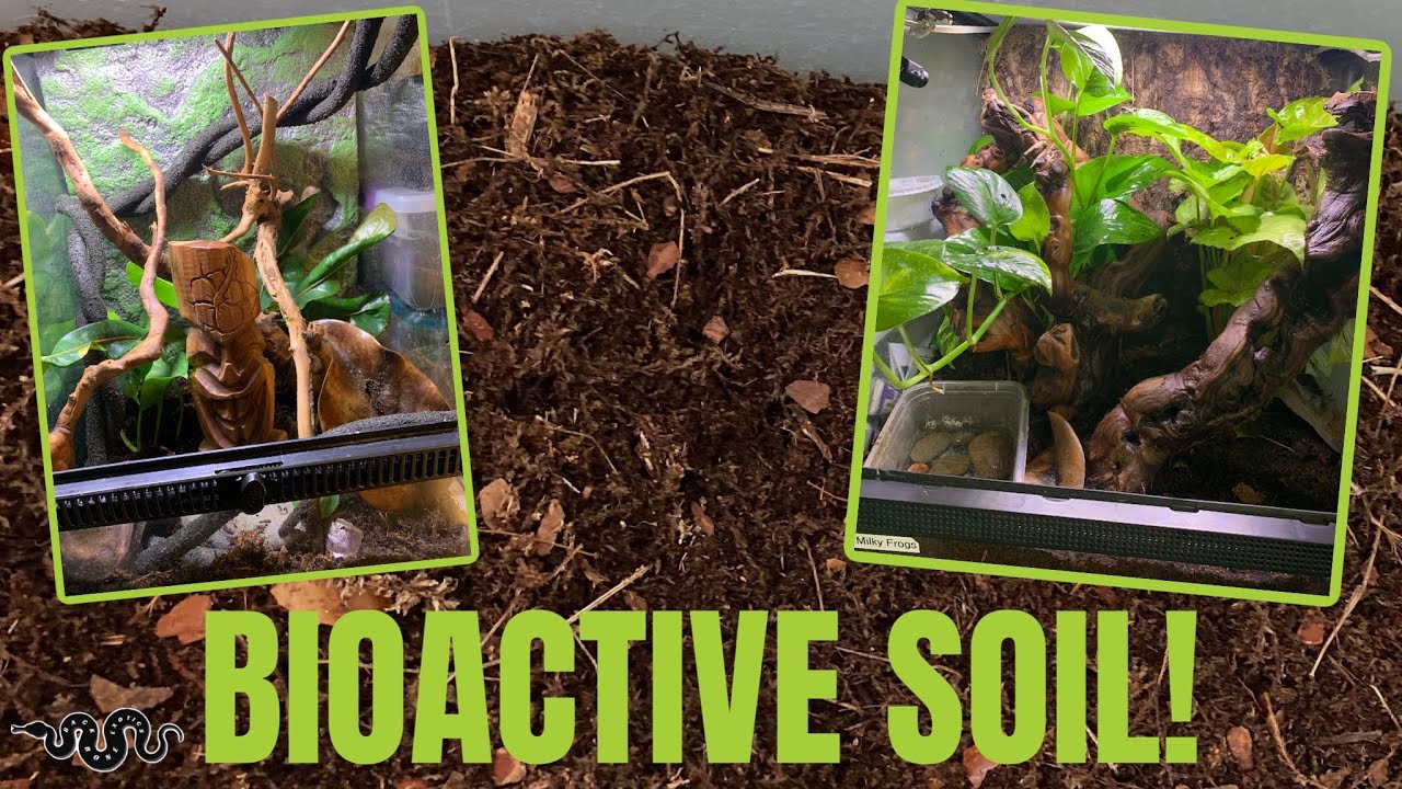 How To Make Perfect Bioactive Soil !!! - YouTube