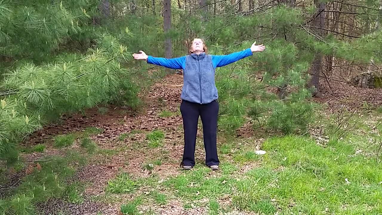 Qigong with Winifred Boyd - Double Plates, Full Form, New Move/Style ...