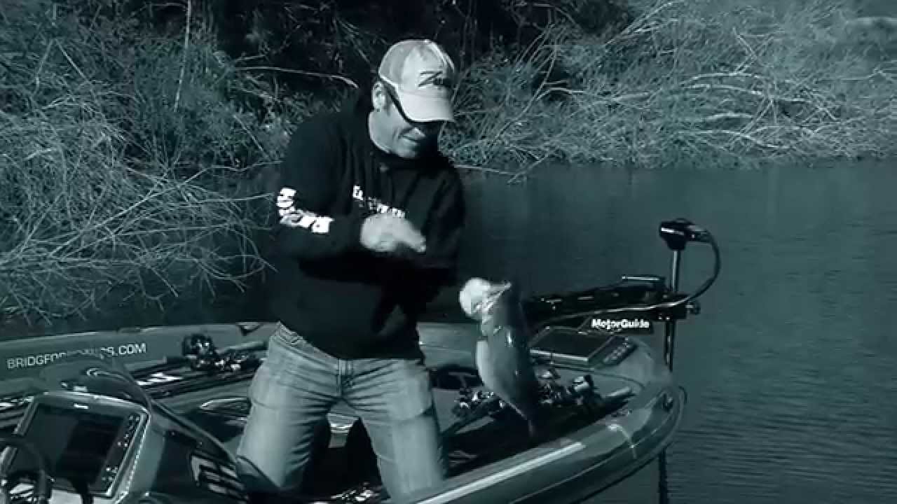 Project Z: Season 2 – Now Streaming - YouTube