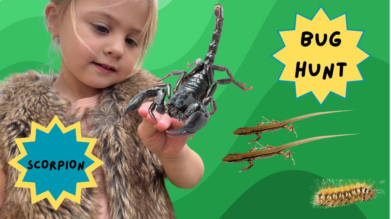Kids BUG HUNT! Scorpion, lizard, caterpillar and beetle larvae ...