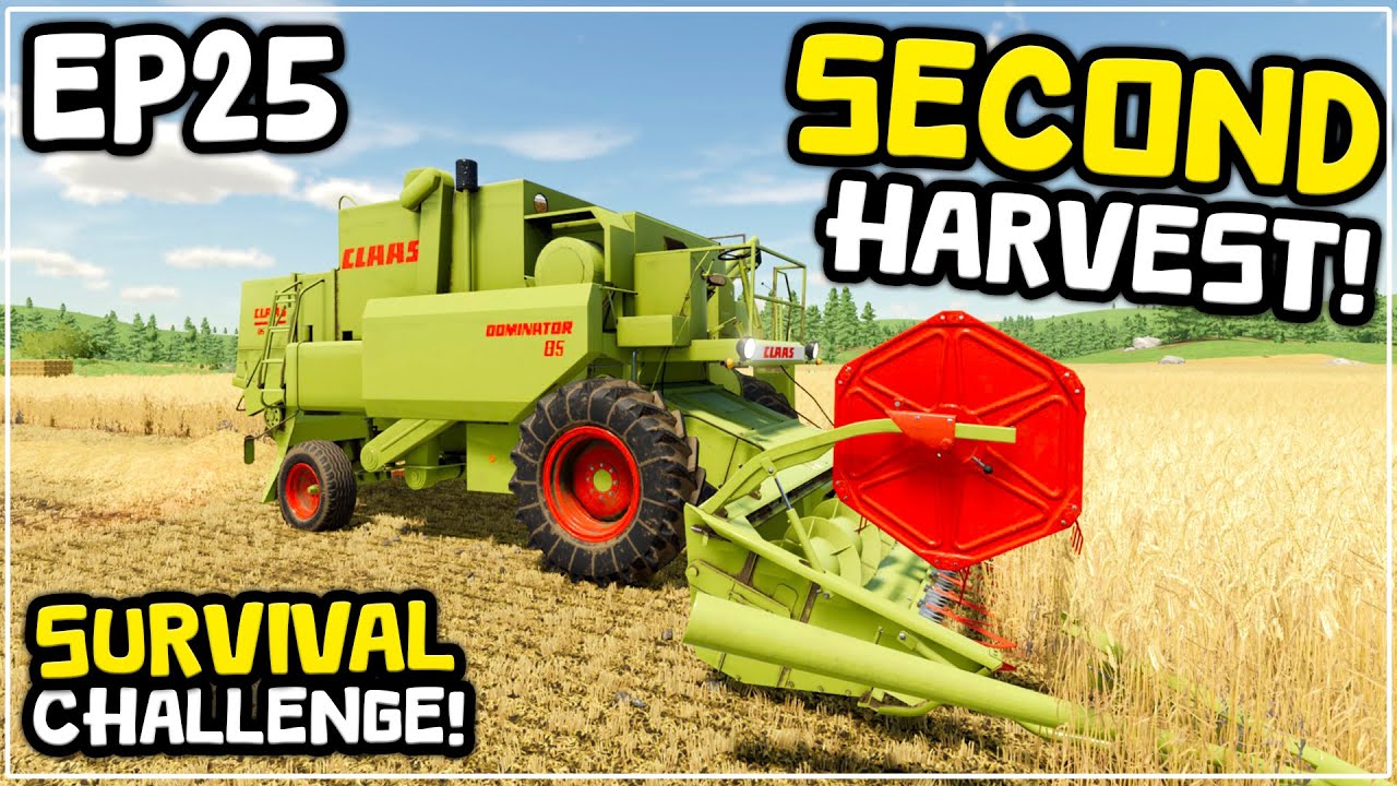 THREE FIELDS ARE READY TO HARVEST! - FS22 Survival Challenge! - Episode ...