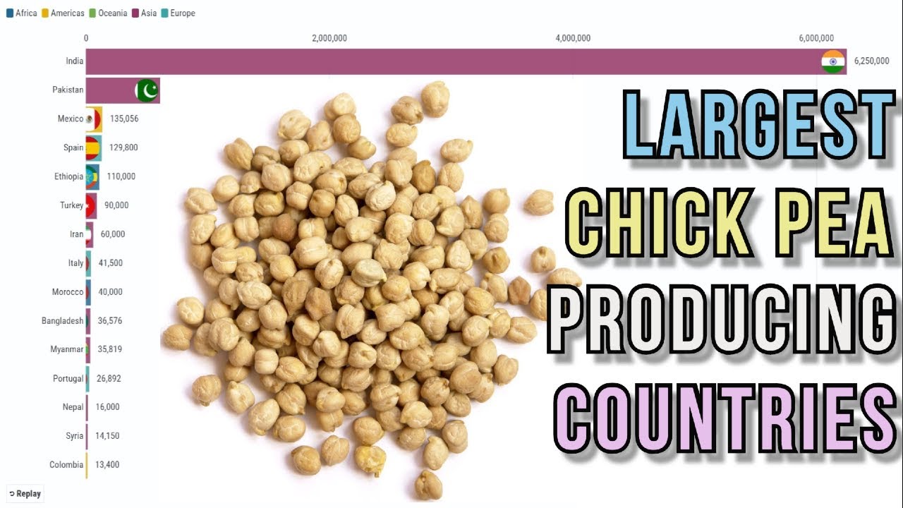 Largest chick pea producing countries - YouTube