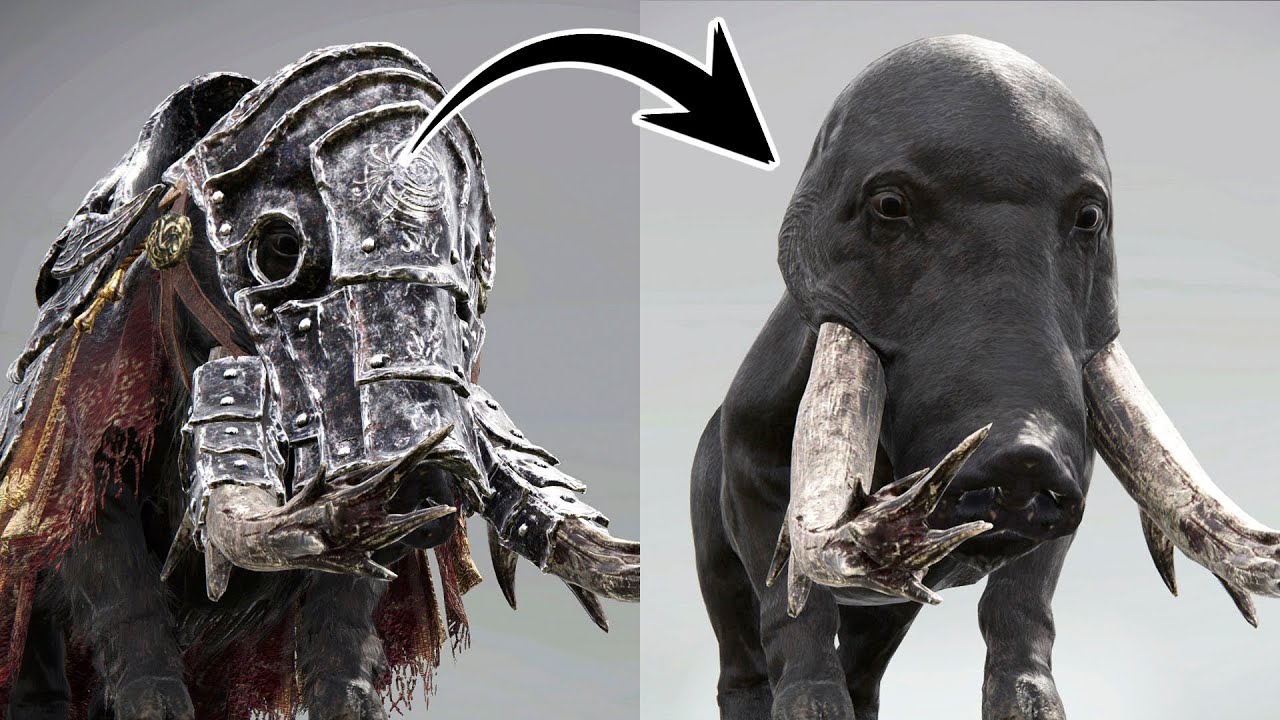 The Commander's Boar - YouTube