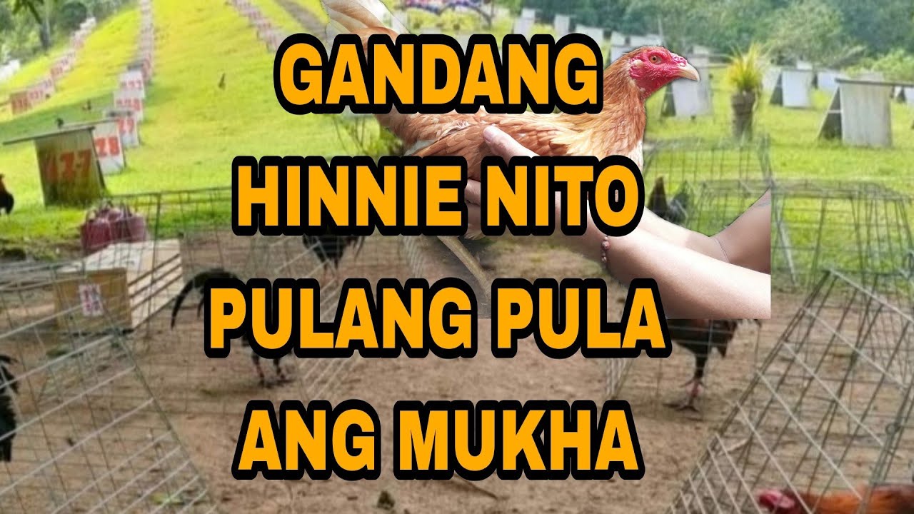 Swerte Makakuha Ng Hinnie Pulang Pula Ang Mukha Ang Ganda - YouTube