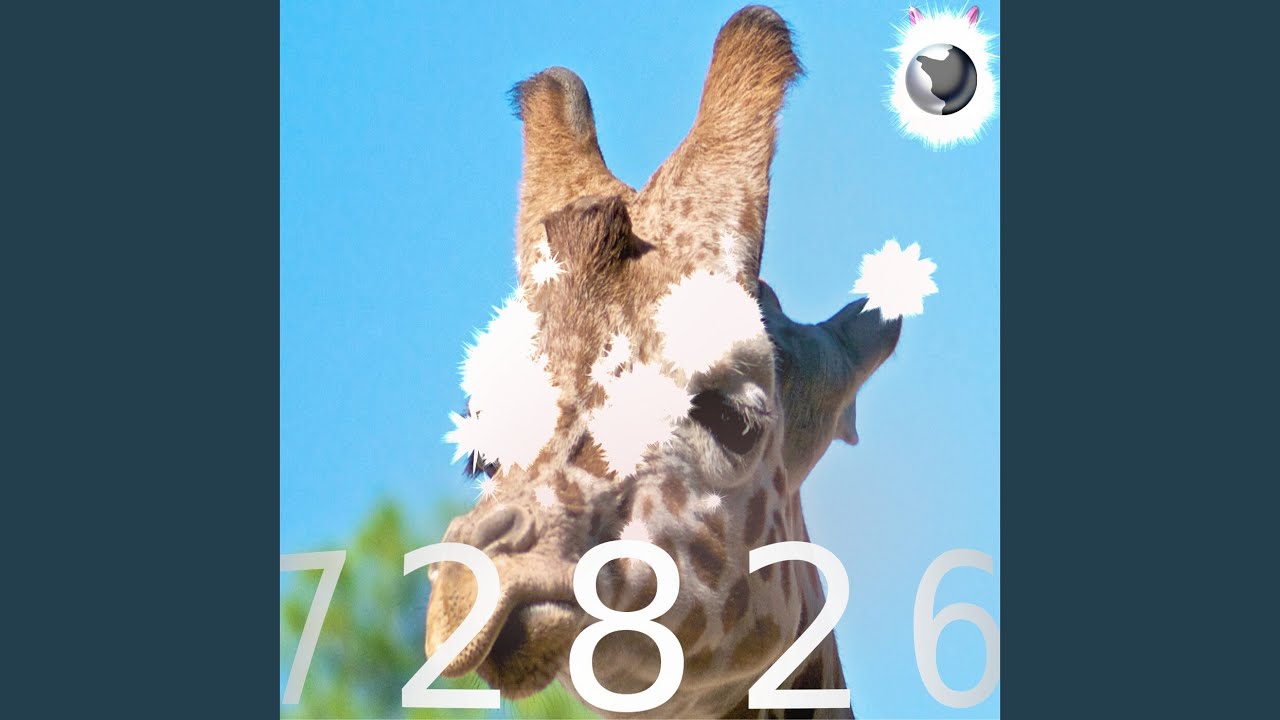 The Filfla Lizard - YouTube