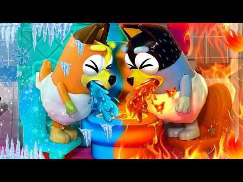 Hot and Cold: What Will Happen to Bluey and Bingo? | Lessons for Kids | Pretend Play with Toys Bluey